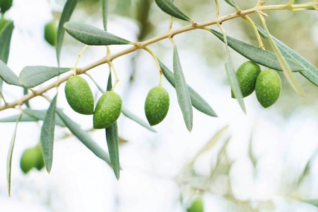 ワールド制作に関するGeminiプロンプト – MONO OCEAN